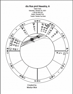 Nawalny (or Navalny), Alexei Anatolievich Ongoing Study – Marilyn Muir