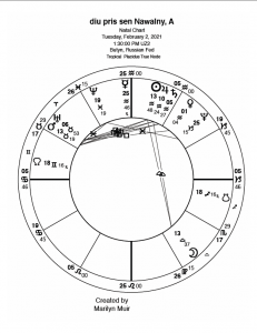 Nawalny (or Navalny), Alexei Anatolievich Ongoing Study – Marilyn Muir