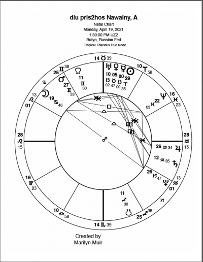 Nawalny (or Navalny), Alexei Anatolievich Ongoing Study – Marilyn Muir