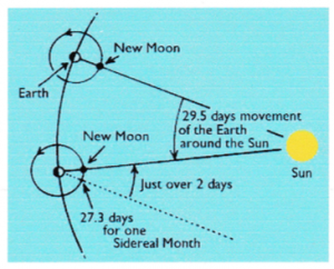 Lunar Phases – Cycles Within Cycles – Marilyn Muir